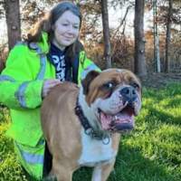 Abbey Boarding Kennels, Barrow-Upon-Humber | Dog Boarding - Yell