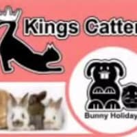 Kings Cattery, Bracknell | Catteries - Yell