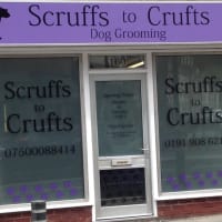Scruffs to Crufts, North Shields | Dog & Cat Grooming - Yell