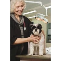 Highfield Vetinary Centre, Sheffield | Vets - Yell
