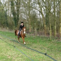 Laris Farm Equestrian, Woking | Riding Schools - Yell