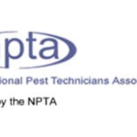 KD Pest Control, Spalding | Pest & Vermin Control Services - Yell