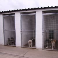 Longcroft Boarding Kennels & Cattery, Derby | Dog Day Care - Yell