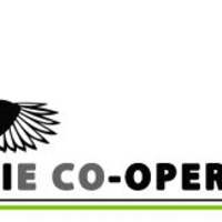 Recorra, Lancing | Recycling - Yell