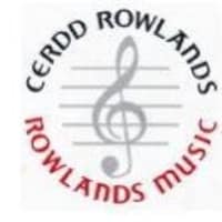 Rowlands Music, Cardiff | Musical Instrument Shops - Yell