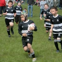 Thurrock Rugby Football Club, Grays | Sports Clubs & Associations - Yell