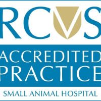 Meopham Veterinary Hospital, Gravesend | Vets - Yell