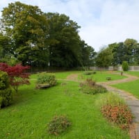 Bucklow Manor Care Home, Knutsford | Nursing Homes - Yell