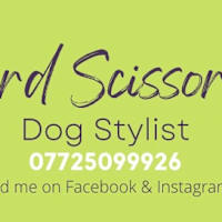 Edward Scissorpaws Dog Stylist, Newton Aycliffe | Dog & Cat Grooming - Yell