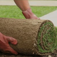 Windsor Turf, Exeter | Turf & Soil Supplies - Yell