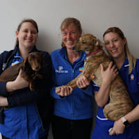 Natterjacks Vet, Poole | Vets - Yell
