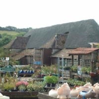 Alkham Valley Garden Centre, Dover | Garden Centres - Yell