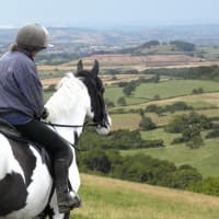 Silkstone Equestrian Centre, Barnsley | Riding Schools - Yell