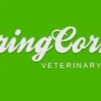 Spring Corner Veterinary Ltd, Bournemouth | Vets - Yell
