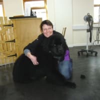 The Pooch Patch, Stratford-Upon-Avon | Dog & Cat Grooming - Yell