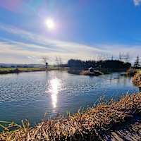 Foxholes Lake, Matlock | Sport Fishing - Yell