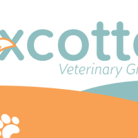 Foxcotte Veterinary Group, Andover | Vets - Yell