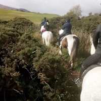 Tower Farm Riding Stables, Edinburgh | Horse Riding Lessons - Yell