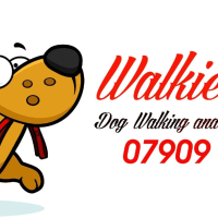 Walkie Paws, Bristol | Dog Walkers - Yell