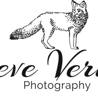 Steve Verity Photography, Bridlington | General Photographers - Yell