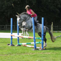 Laris Farm Equestrian, Woking | Riding Schools - Yell