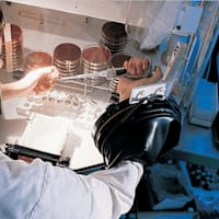 Cultech Ltd, Port Talbot | Pharmaceutical Suppliers - Yell