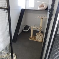 Willow Tree Kennels & Cattery, Radstock | Catteries - Yell