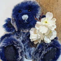 Teddy Bear Studio, Redditch | Toy Shops - Yell