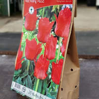 Gedney Bulb Co.Ltd, Spalding | Wholesale Horticultural Nurseries - Yell