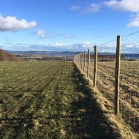 Matthew Boag, Perth | Fencing Contractors - Yell