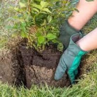 Steve Tonks Garden Design, Abergavenny | Garden Designers - Yell