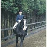 Bridge Farm Livery & Orwell Arena, Ipswich | Stables - Yell