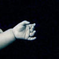 Pure & Applied Conservation Framing, London | Picture Framers & Frame Makers - Yell