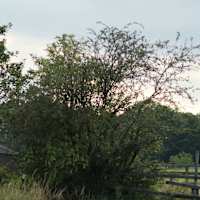 Uefaruk Ltd.INT, London | Bus, Coach & Tram Services - Yell