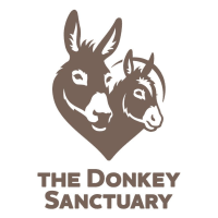 The Donkey Sanctuary Manchester, Manchester | Animal Welfare Societies ...