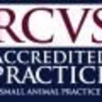 Castle Vets Pet Healthcare Centre, Reading | Vets - Yell