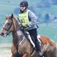Witherslack Hall Equestrian Centre, Grange-Over-Sands | Riding Schools ...