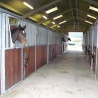 Hayton Manor Equestrian, Ashford | Stables - Yell