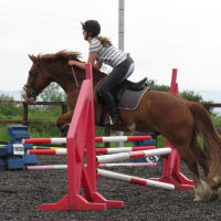 Pevlings Farm Riding & Livery Stables, Templecombe | Riding Schools - Yell