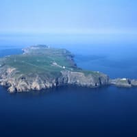 Lundy Island, Bideford | Tourist Attractions - Yell