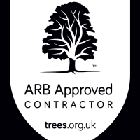 Tr33 Ltd | Tree Surgeons - Yell