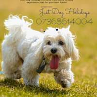 Just Dog Holidays, Wolverhampton | Home & Pet Sitting - Yell