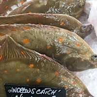 The Fish Shop, Camberley | Fishmongers - Yell