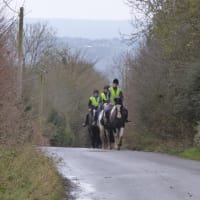 Pevlings Farm Riding & Livery Stables, Templecombe | Riding Schools - Yell