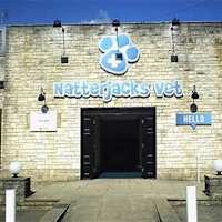 Natterjacks Vet, Poole | Vets - Yell