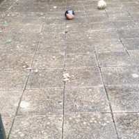 Moonshine Windows & Guttering Cleaning Services, Pontyclun | Window ...