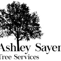 Ashley Sayers Tree Services, Solihull | Tree Surgeons - Yell