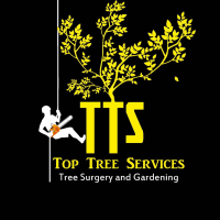 TTS Tree Surgery, Perth | Tree Surgeons - Yell