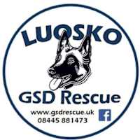 Luosko German Shepherd Dog Rescue, Stoke-On-Trent | Animal Welfare ...
