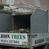 Albion Trees, Bedford | Tree Surgeons - Yell